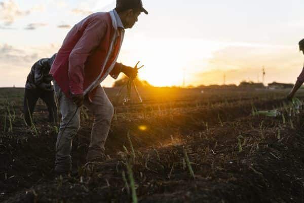 This is Sourced For Good - The Whole Story from Whole Foods Market