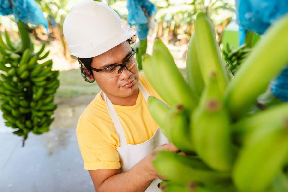 This is Sourced For Good - The Whole Story from Whole Foods Market
