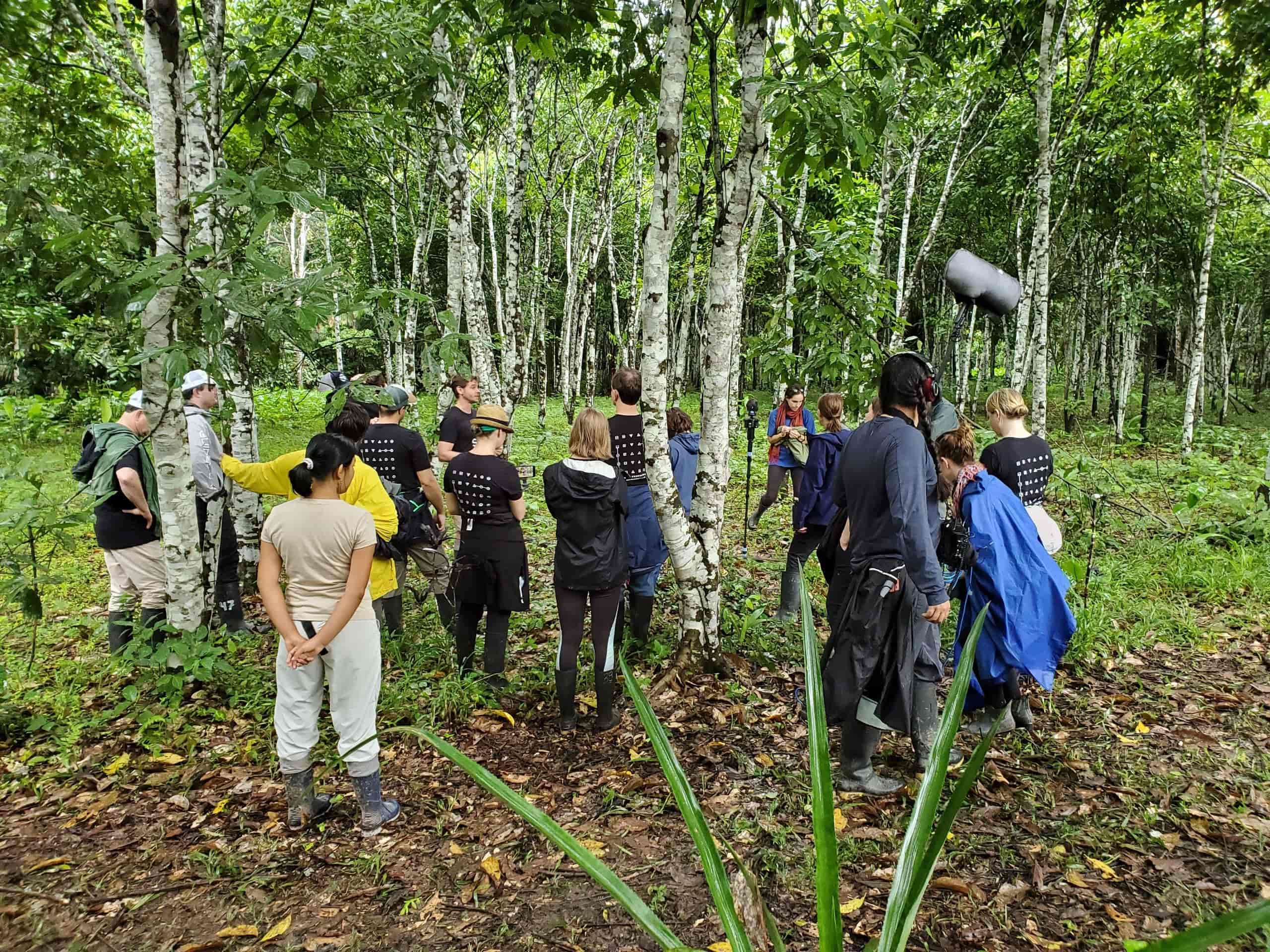 Teamwork Makes the Dream Work - The Whole Story