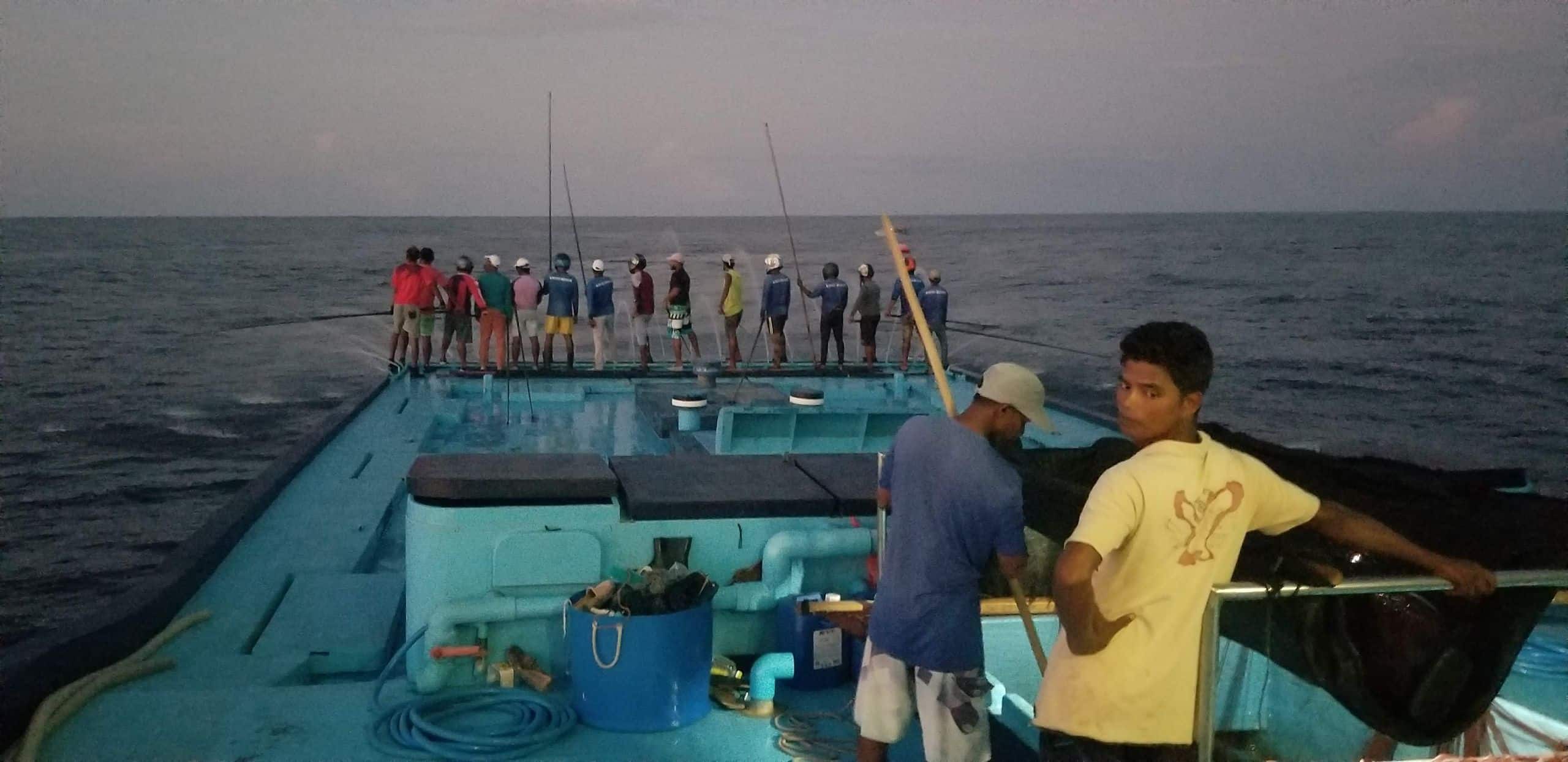 One Hook, One Line, One Fish - The Whole Story