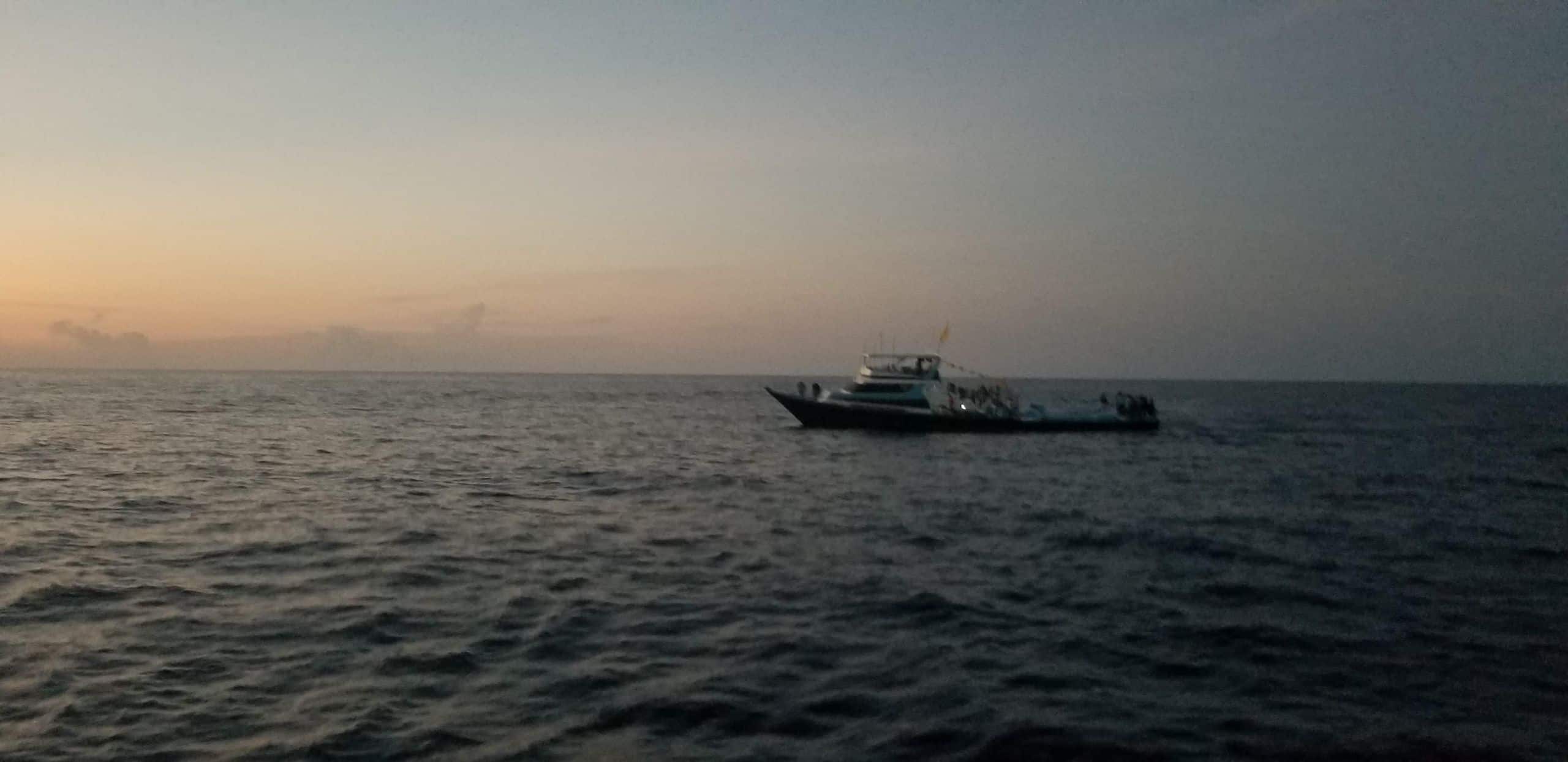 One Hook, One Line, One Fish - The Whole Story