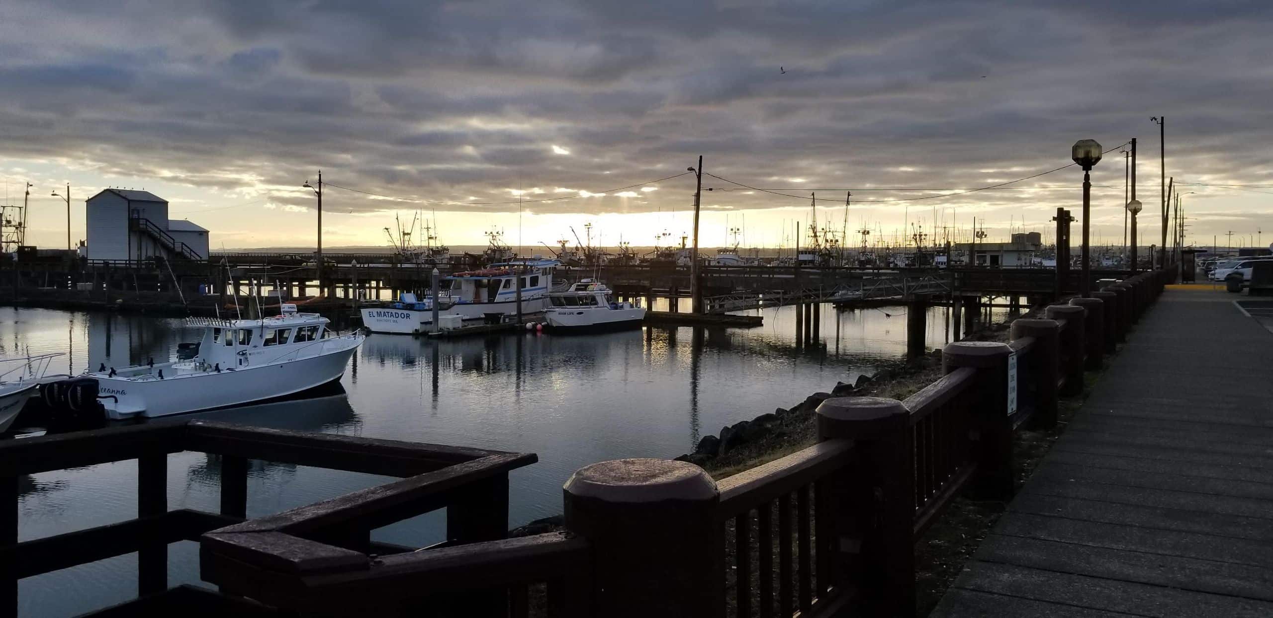 One Hook, One Line, One Fish - The Whole Story