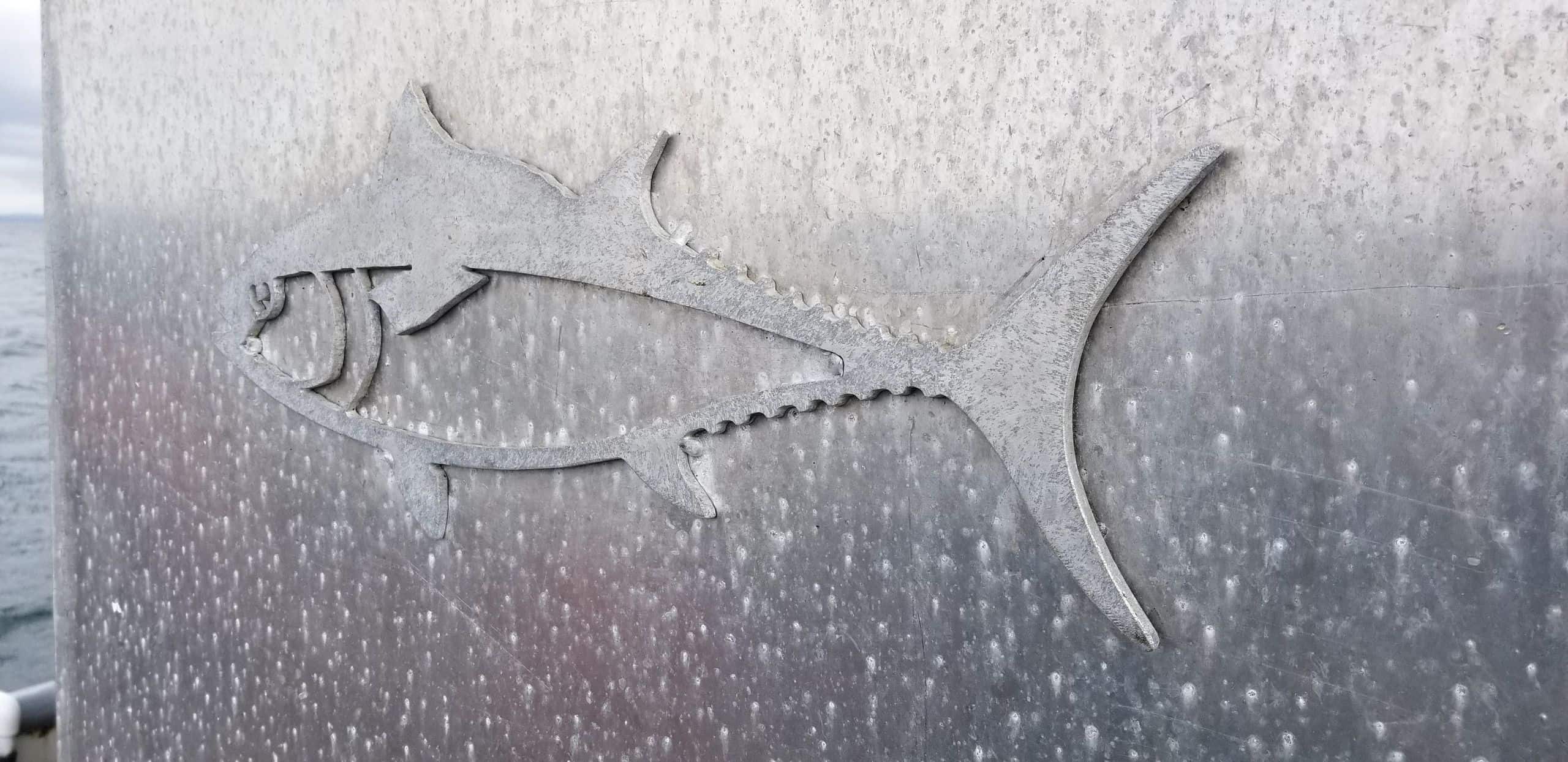 One Hook, One Line, One Fish - The Whole Story