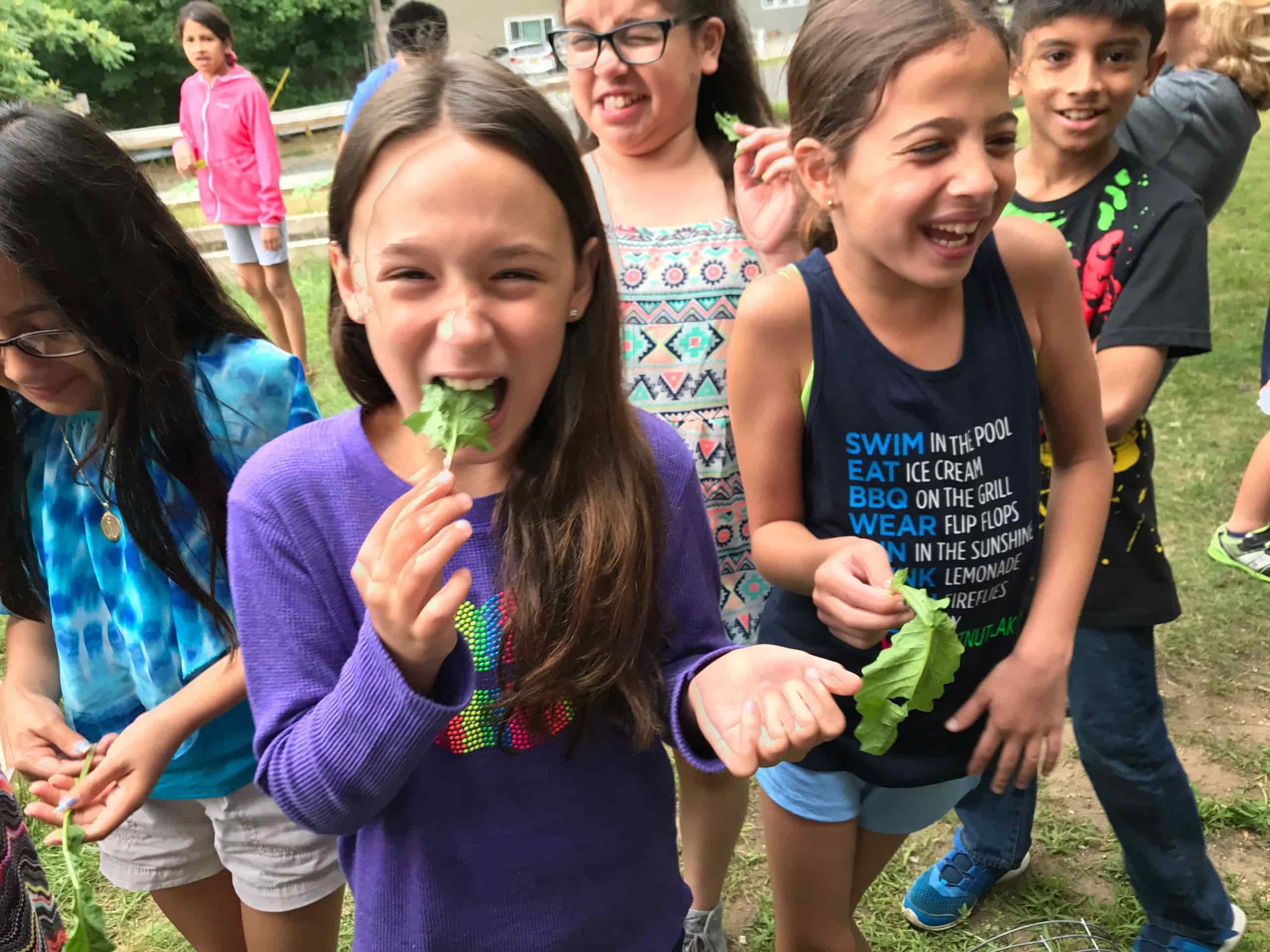 Celebrating 10 Years of Growing Healthy Kids - The Whole Story