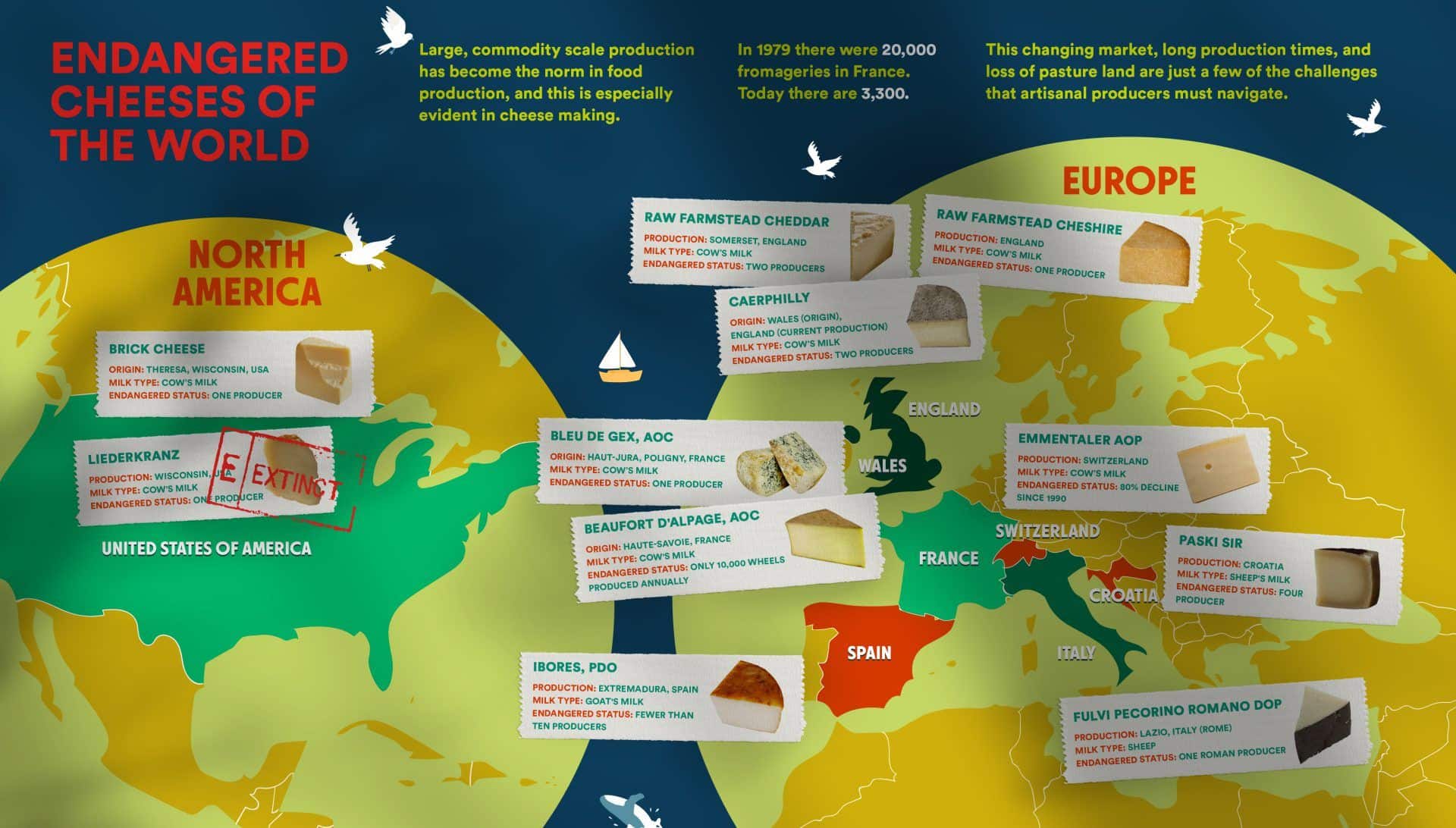 What is Endangered Cheese? - The Whole Story